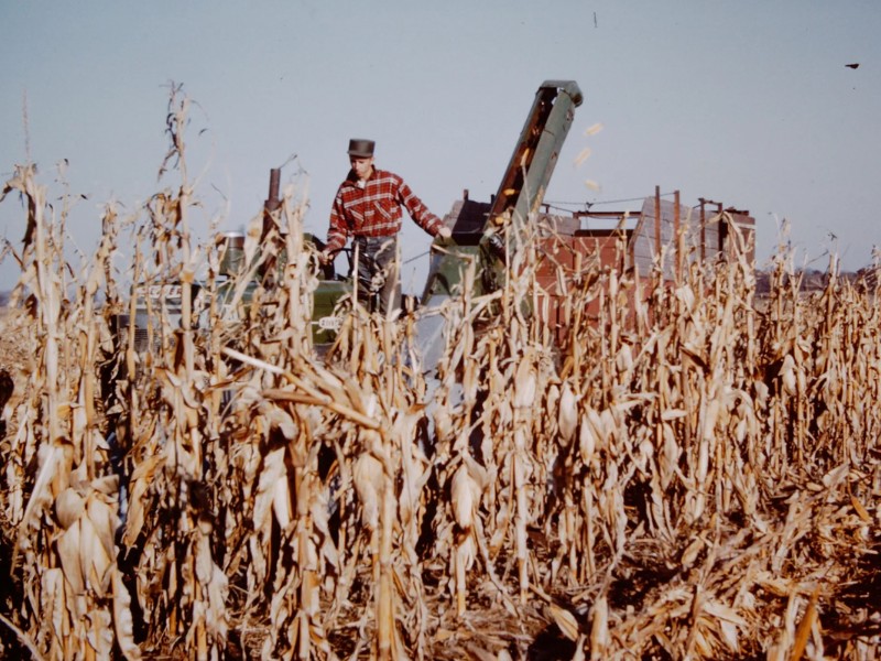 About Us | Gripp Farms | Sheffield and Wyanet, Illinois