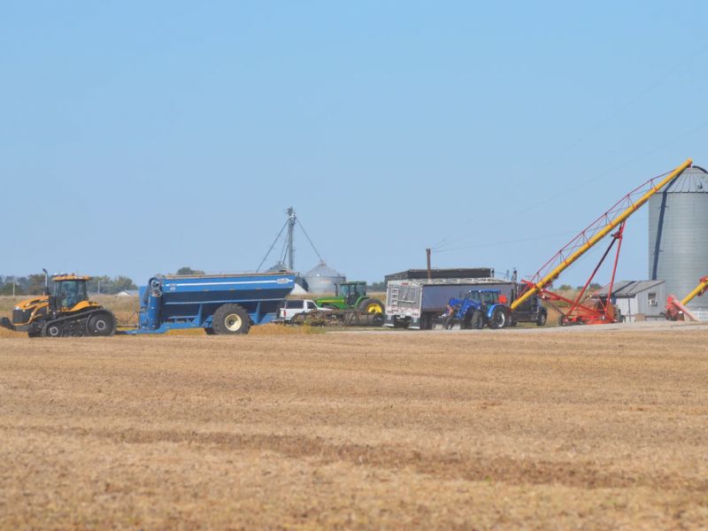 About Us | Gripp Farms | Sheffield and Wyanet, Illinois