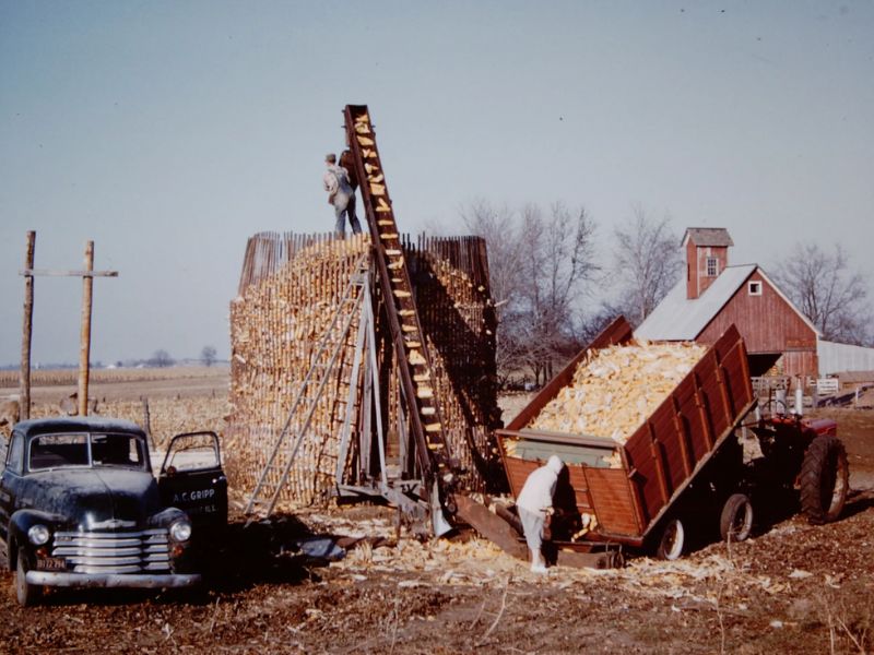 About Us | Gripp Farms | Sheffield and Wyanet, Illinois