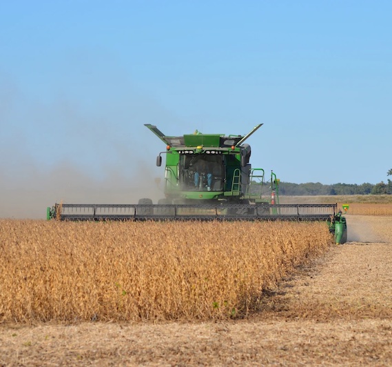 About Us | Gripp Farms | Sheffield and Wyanet, Illinois